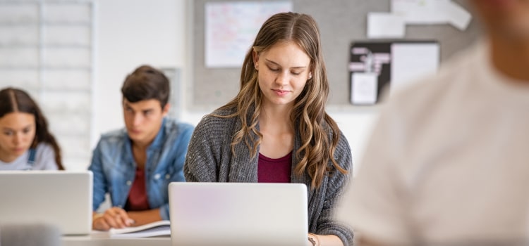 How to use student surveys for educational success